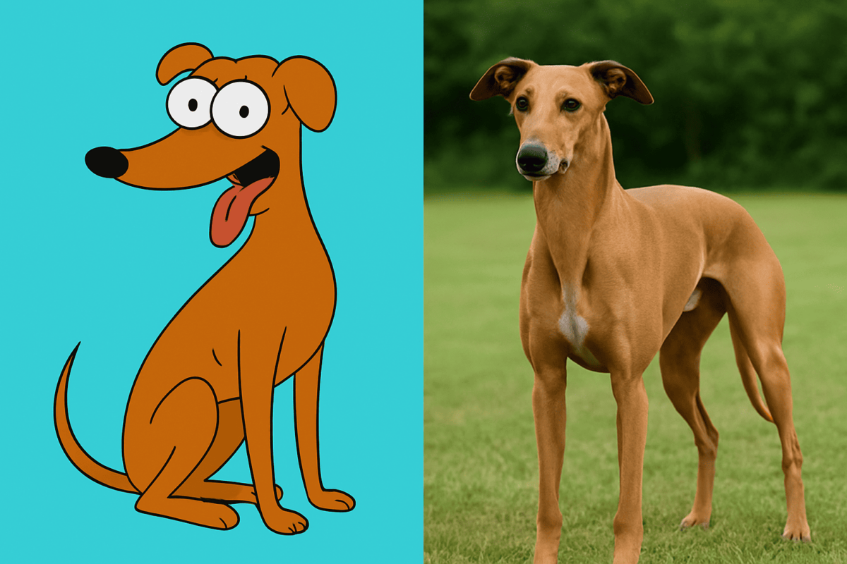 Cachorro dos Simpsons: conheça a raça do Ajudante de Papai Noe